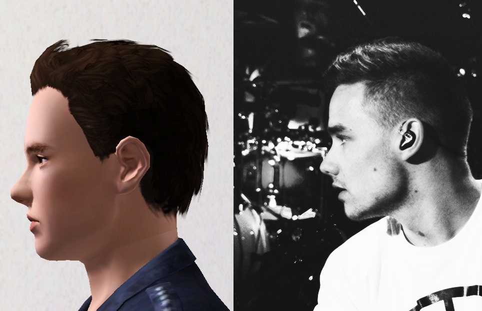 Mod The Sims - Liam Payne from One Direction