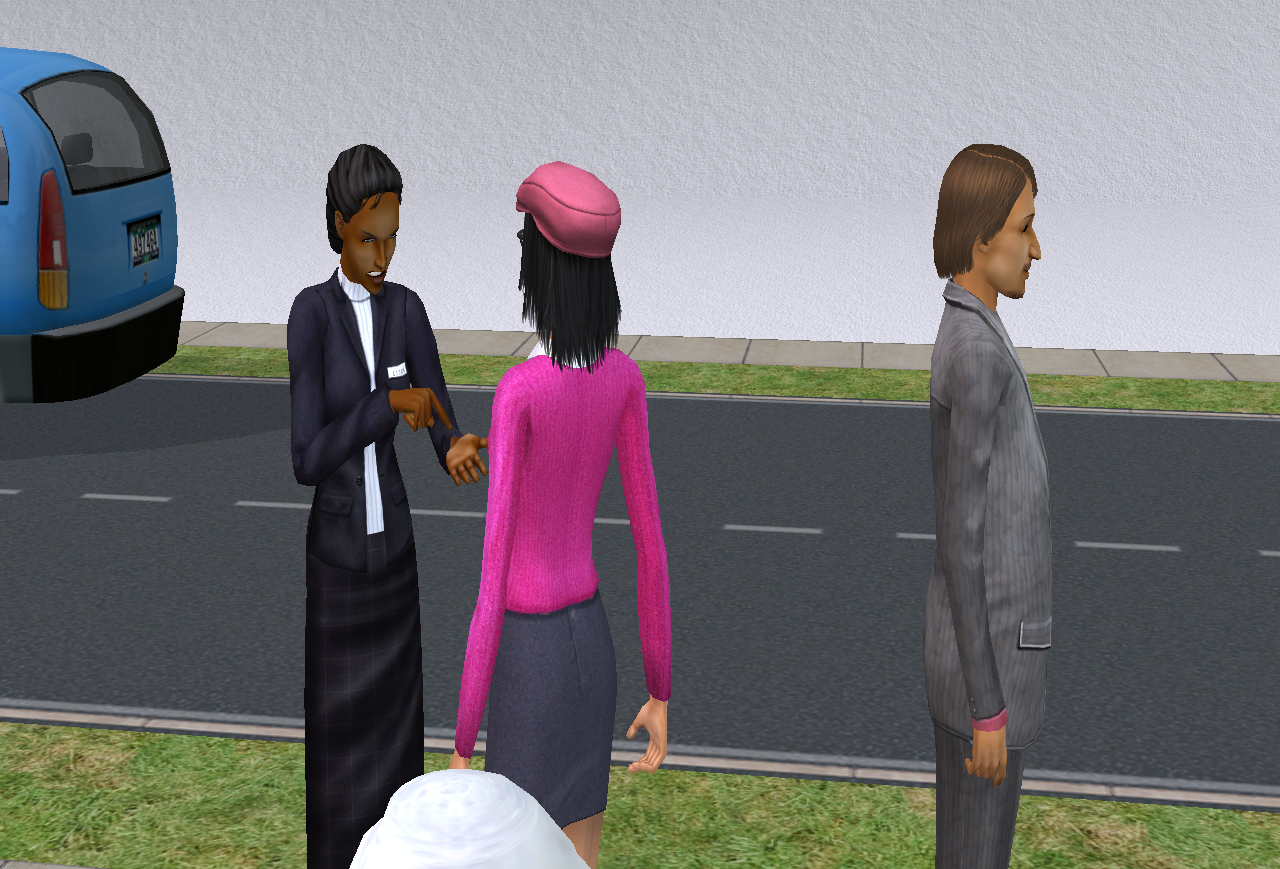 Mod The Sims - Social Worker Glitch