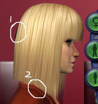 Mod The Sims - Two Problems When Meshing Hair