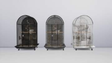 Mod The Sims - The Sims 4 Parrot CC Pack