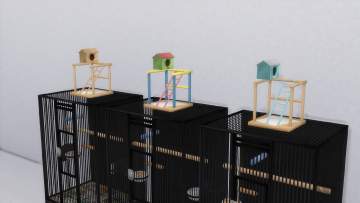 Mod The Sims - The Sims 4 Parrot CC Pack