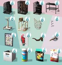 Mod The Sims - The Sims 4 Parrot CC Pack