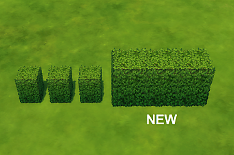 Mod The Sims Creator: Xetto