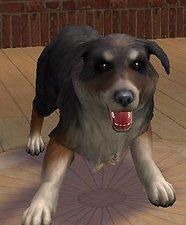 Mod The Sims - Angelo (Rinoa's dog from FF8)