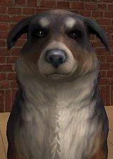 Mod The Sims - Angelo (Rinoa's dog from FF8)
