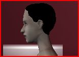 Mod The Sims - Recolored Skin turning weird colors in-game