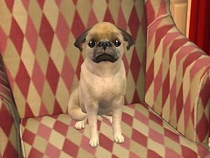 Mod The Sims - Puppy Face Pug