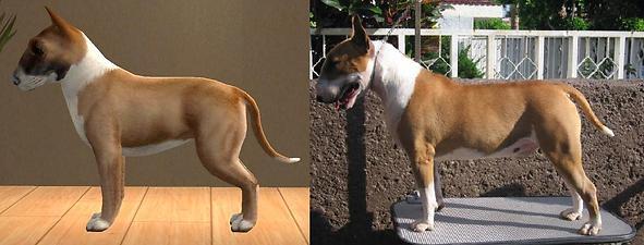 Mod The Sims - 4 Bull Terriers