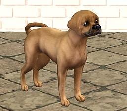 Mod The Sims - Puggle Take 2