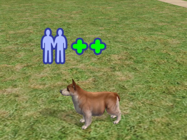 Mod The Sims - Welsh Corgi Pembroke