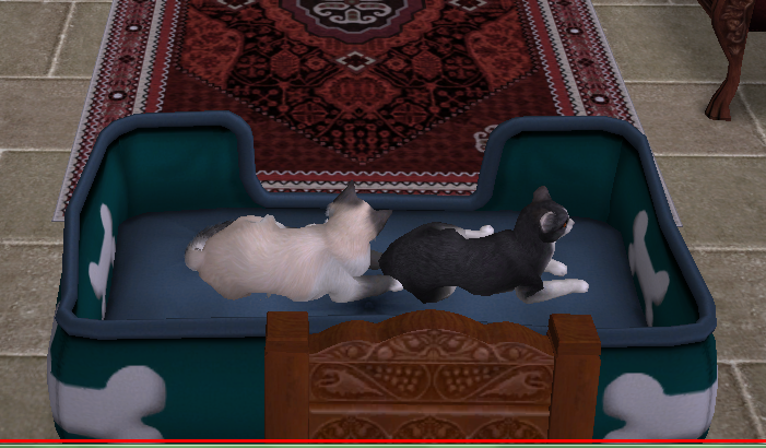 Mod The Sims - The Sims 2 - Pets Pictures (v3)