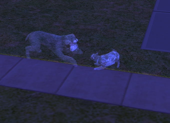 Mod The Sims - Ghost Interactions