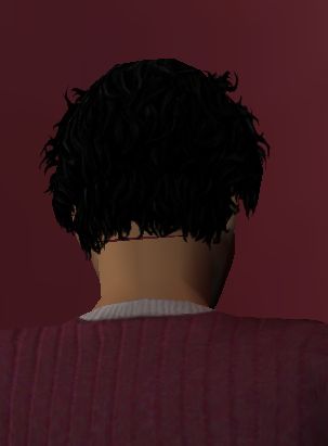 Mod The Sims - WCIF: Fixed Hair Mesh