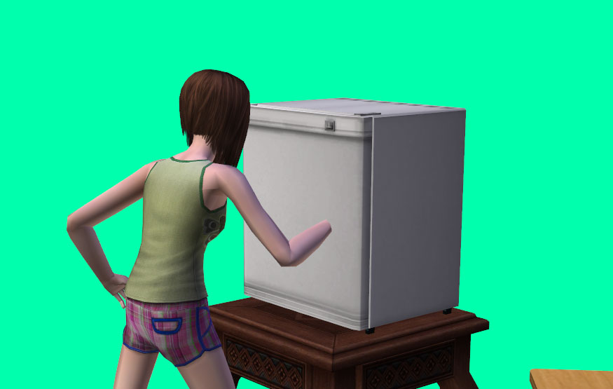 Mod The Sims - Resized minifridge placeable on all surfaces