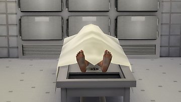 Mod The Sims - Simcity 4 Morgue set.