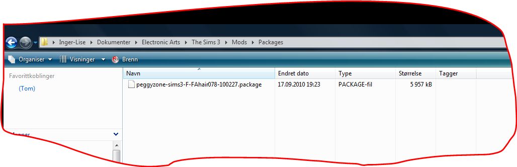 Mod The Sims - Custom Content wont work whatsoever