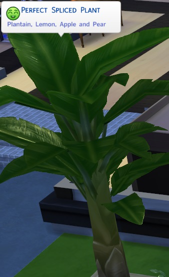 Mod The Sims - 3 Great Things about the Sims 4