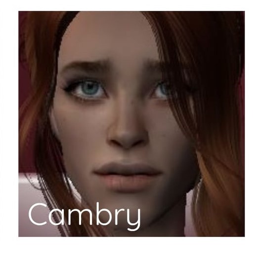 The Sims 2 Wikipedia