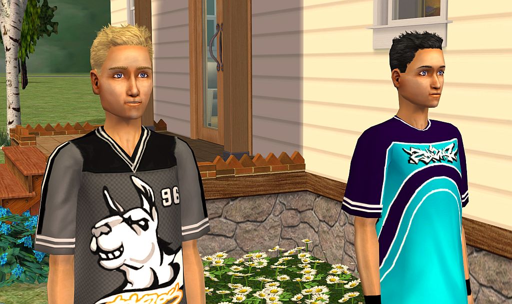 Mod The Sims - Sims 2 Random Thoughts