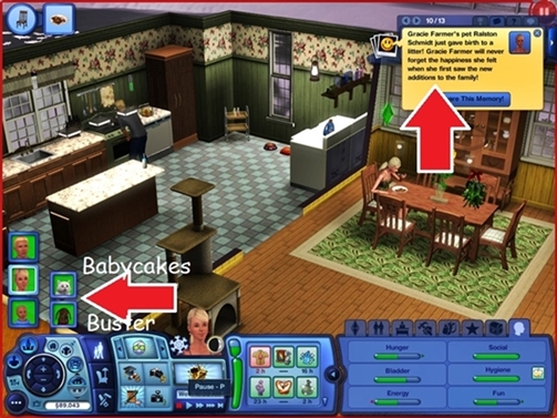 Mod The Sims - incompatible mods?