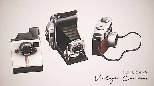 Mod The Sims - WCIF this decor camera set, please? [FOUND]