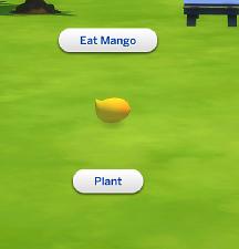 Mod The Sims - Harvestable Season fruit tress - Mango, Guava, Plum