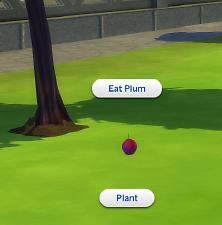 Mod The Sims - Harvestable Season fruit tress - Mango, Guava, Plum