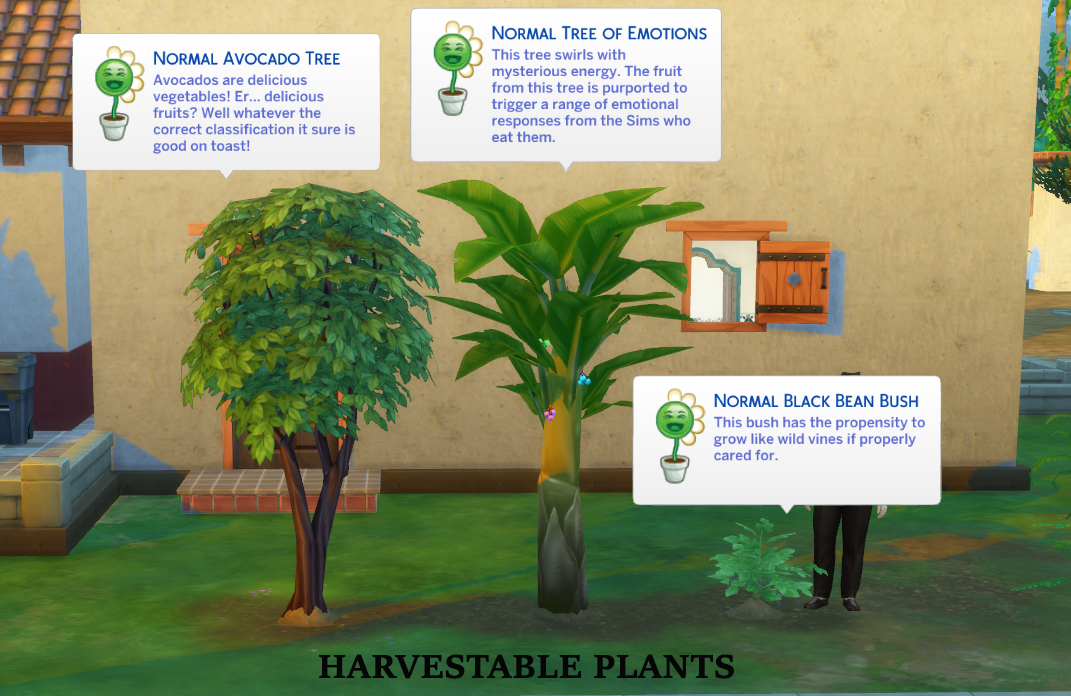 Mod The Sims - My experiences with Sims 4 Jungle Adventure