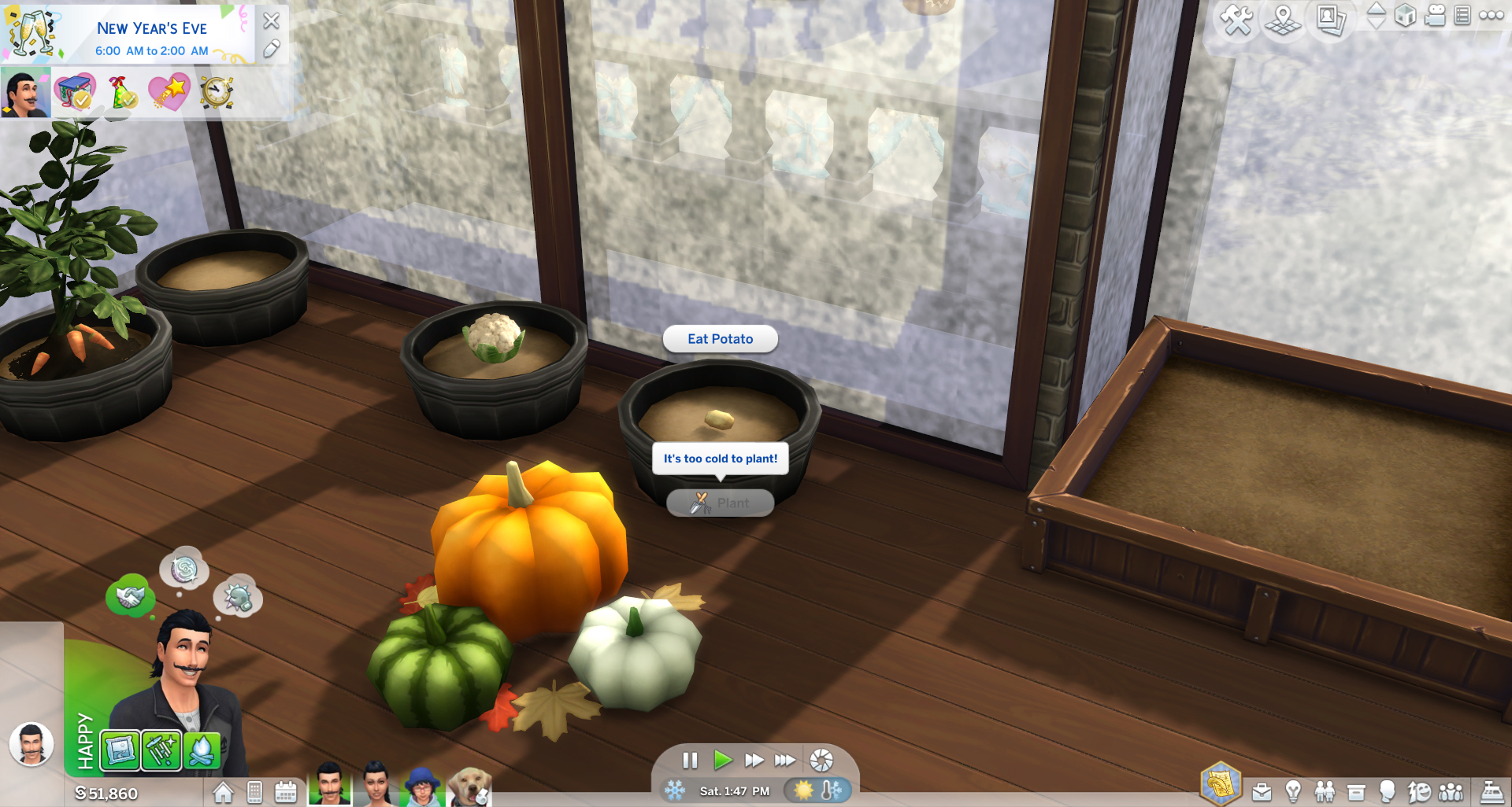 Mod The Sims - Harvestable Cauliflower and Leek