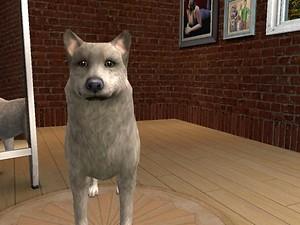 Mod The Sims - The wolf pack