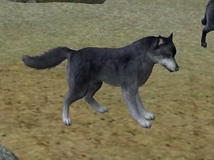 Mod The Sims - The wolf pack
