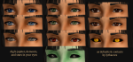 Mod The Sims - Body Shop