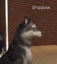 Mod The Sims - Realistic Siberian Huskies