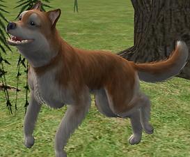 Mod The Sims - Realistic Siberian Huskies