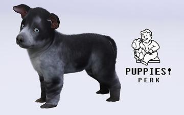 Mod The Sims - Fallout 3 - Dogmeat & Puppy