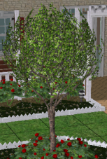 Mod The Sims - Trees look dead / have less foliage - Live Mode ...