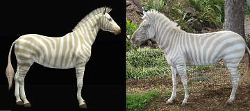 Mod The Sims - Zebra Mini Pack!