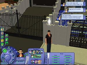 Mod The Sims - Real Life for Sims and Pets