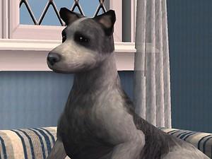 Mod The Sims - Mrs.Tibbles and Hush