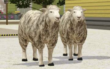 Mod The Sims - Functional Sheep (Look! A living sheep!) V1.2