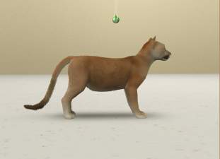 Mod The Sims - The Mountian Lion