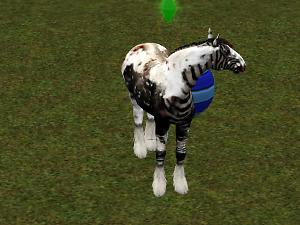 Mod The Sims - Necromancy The Horse