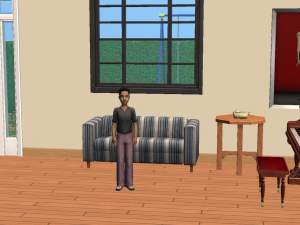 Mod The Sims - Neighborhoods & CAS Screens