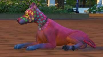Mod The Sims - Rocco Superstar - Mixed Breed Dog (Basenji Dog)