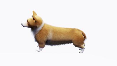 Mod The Sims - Welsh Corgis