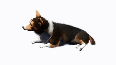 Mod The Sims - Welsh Corgis