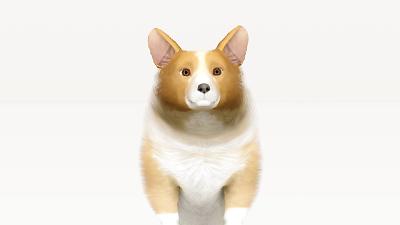 Mod The Sims - Welsh Corgis